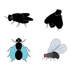 Flies icon template Royalty Free Vector Image - VectorStock