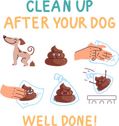 Dog poo clean up steps infographic set Royalty Free Vector
