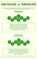 Isolate Vector Images (over 13 million)