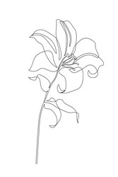 Iris flower in continuous line art drawing style Vector Image