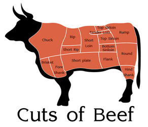 Map of beef steak cuts cow infographic Royalty Free Vector
