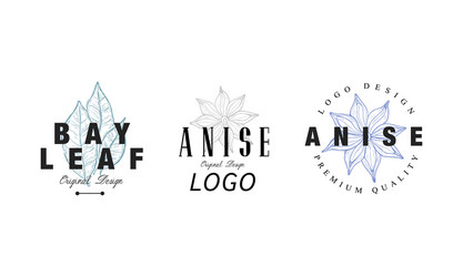 Bay Leaf Logo Vector Images (over 520)