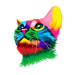 Abstract kitten face portrait cat face from Vector Image