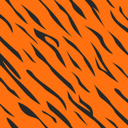 An orange background with tiger Royalty Free Vector Image