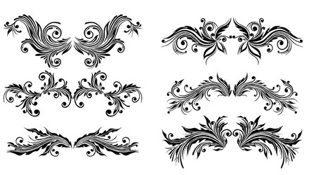 Floral design elements Royalty Free Vector Image