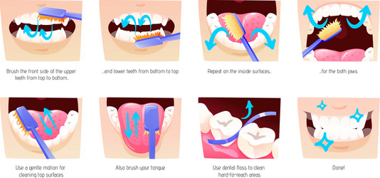 How to brush your teeth step by step instruction Vector Image
