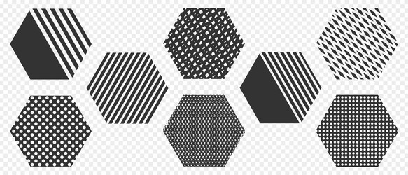 Collection of hexagon with decorative geometric Vector Image