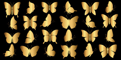 Set of gold butterflies Royalty Free Vector Image