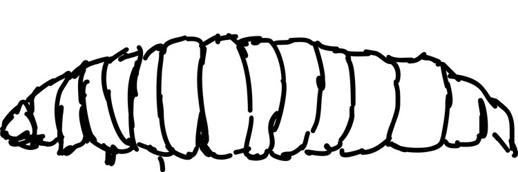 Maggot Vector Images (over 1,800)