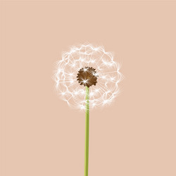 Frail Drawing Vector Images (over 110)