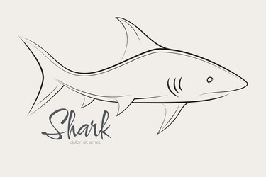 Shark Outline Vector Images (over 3,500)