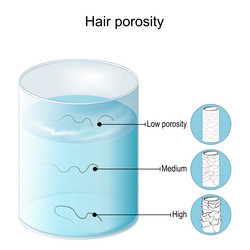 Hair porosity water float test infographics poster