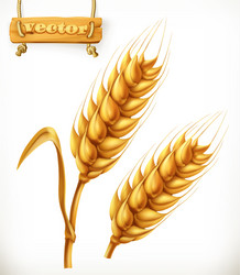 Wheat Royalty Free Vector Image - VectorStock