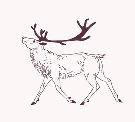 Running Deer Outline Vector Images (over 200)