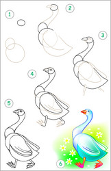 Page shows how to learn step by step to draw a Vector Image