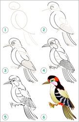 Page shows how to learn step by step to draw Vector Image