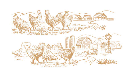 Chicken with countryside landscape farm sketch Vector Image