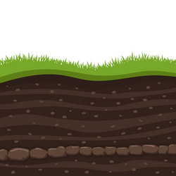 Soil formation and horizons Royalty Free Vector Image