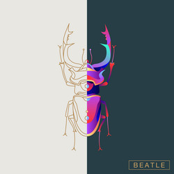 Abstract insects Royalty Free Vector Image - VectorStock