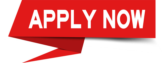 Apply now sticker Royalty Free Vector Image - VectorStock