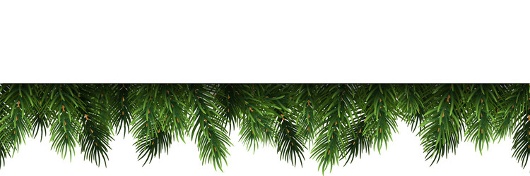 Horizontal christmas border frame with fir Vector Image