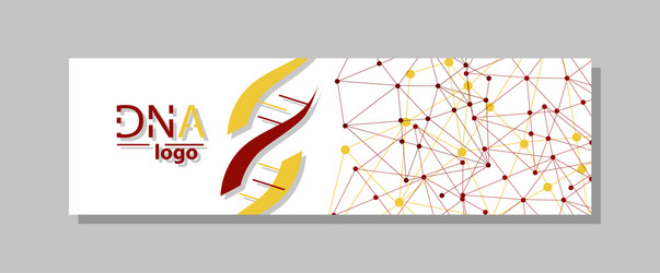 Dna molecule brochure template flyer layout Vector Image