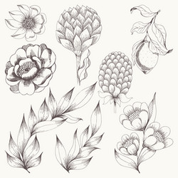 Seamless floral pattern hand drawing Royalty Free Vector