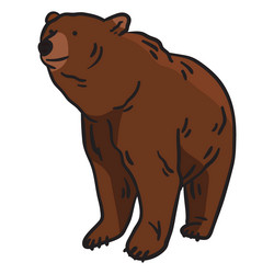 Cute woodland animal brown bear forest fluffy Vector Image