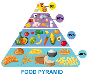 Food pyramid healthy eating infographic Royalty Free Vector