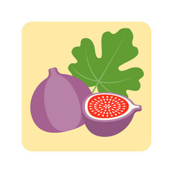 Dried oriental fig fruit cartoon Royalty Free Vector Image