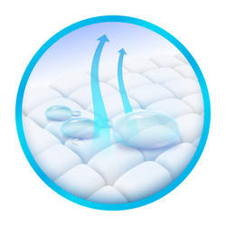 Moisture absorbent sheet and ventilation Vector Image