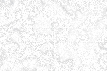 Topographic map patterns topography line map Vector Image