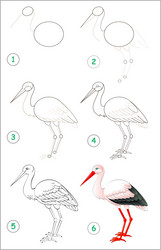 Page shows how to learn step by step to draw a Vector Image