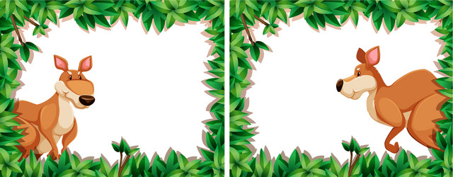 Borders Kangaroo Vector Images (over 180)