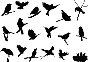 Bird Flutter Vector Images (over 340)
