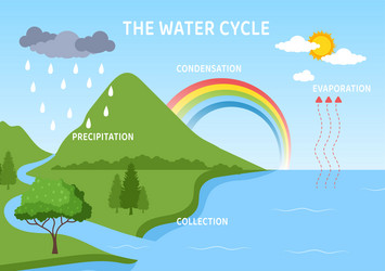 Water Life Cycle Vector Images (over 850)