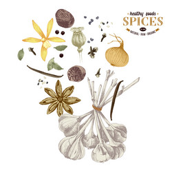 Hand drawn border with herbs and spices Royalty Free Vector