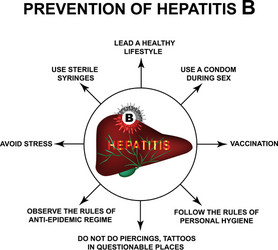 Informative poster of common symptoms hepatitis b Vector Image