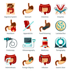 Digestive system concept design Royalty Free Vector Image