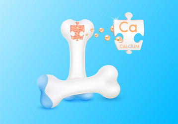 Healthy bone Royalty Free Vector Image - VectorStock