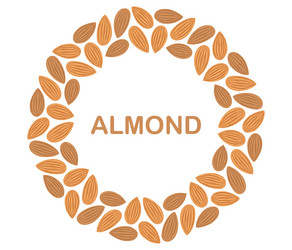 Nuts circle frame round hazelnut border flat Vector Image