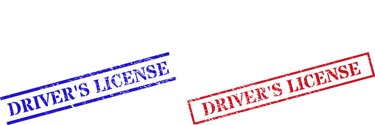 Driver License Vector Images (over 3,800)
