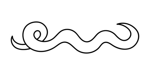 Outline rope icon isolated on white doodle swirl Vector Image