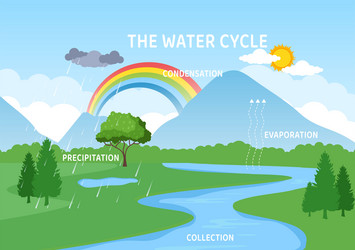 Water Cycle Condensation Vector Images (over 380)