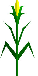 Planting and cultivation of corn isolated Vector Image