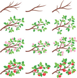 Apple Tree Vector Images (over 23,000)