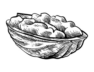Walnut hand drawn ink sketch of nut for label Vector Image