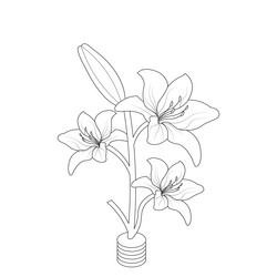 Lily outline flower Royalty Free Vector Image - VectorStock