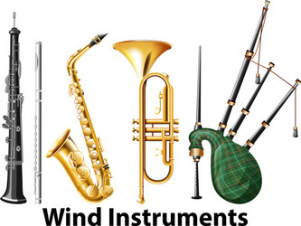 Woodwind musical instruments Royalty Free Vector Image