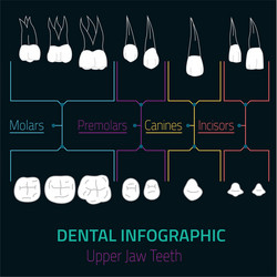 Teeth Color Chart Vector Images (50)